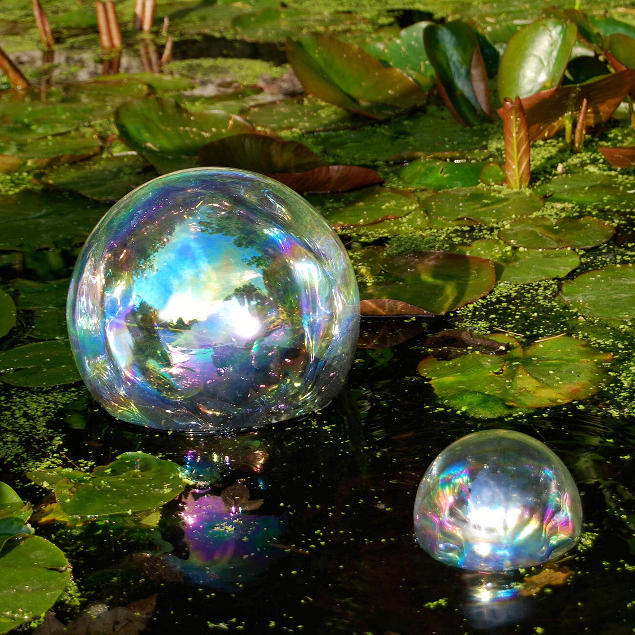 Bulle de savon en verre | 3 Jahre Garantie | Pro-Idee
